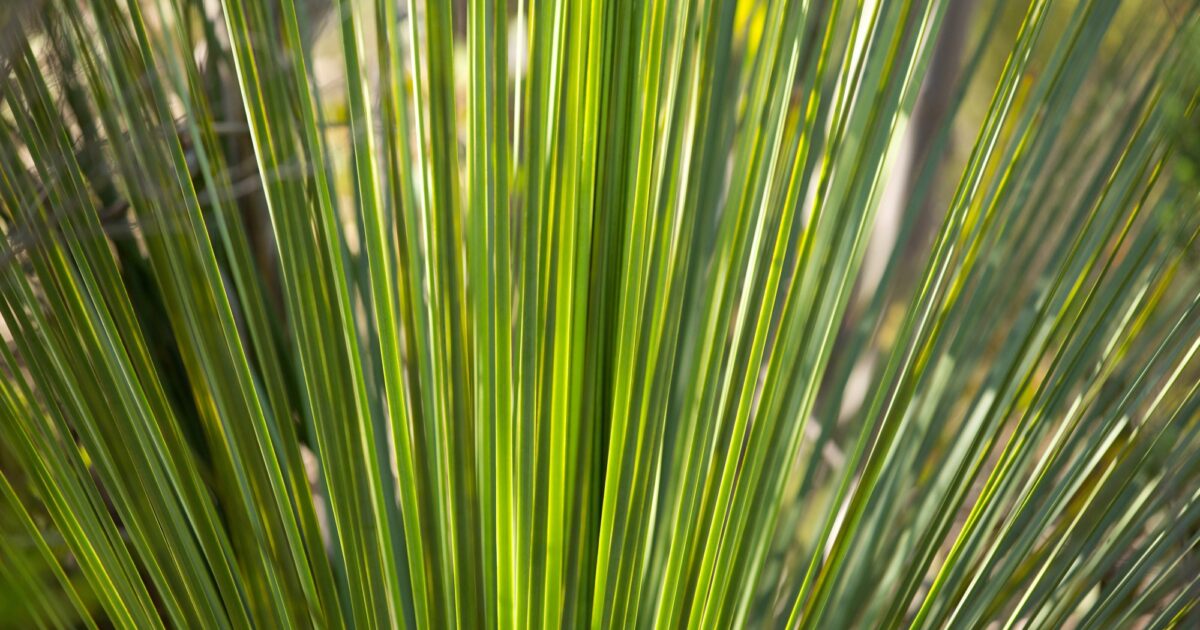 Privacy policy • Kangaroo Island, South Australia