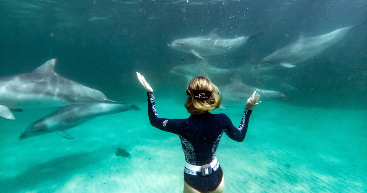 Experiences • Kangaroo Island, South Australia