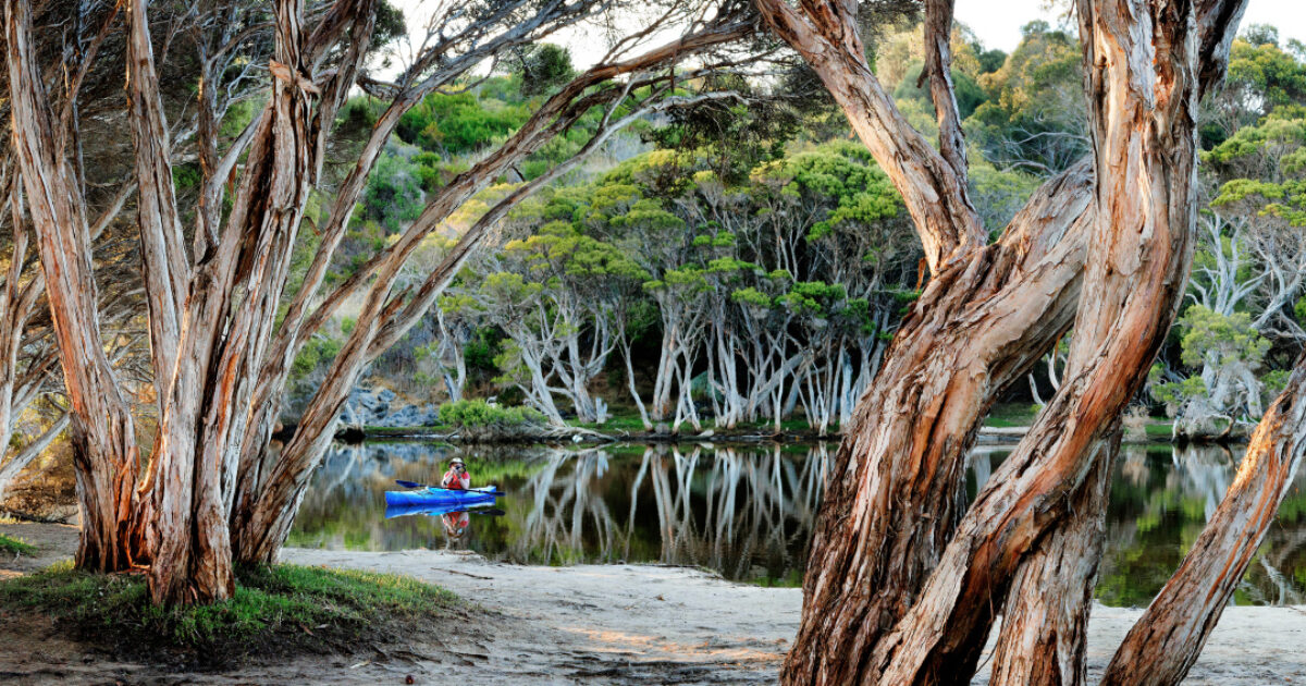 Best free things to do on Kangaroo Island • Kangaroo Island, South ...