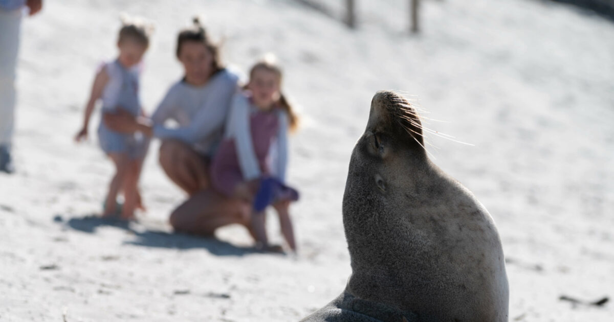 What to do on Kangaroo Island • Kangaroo Island, South Australia